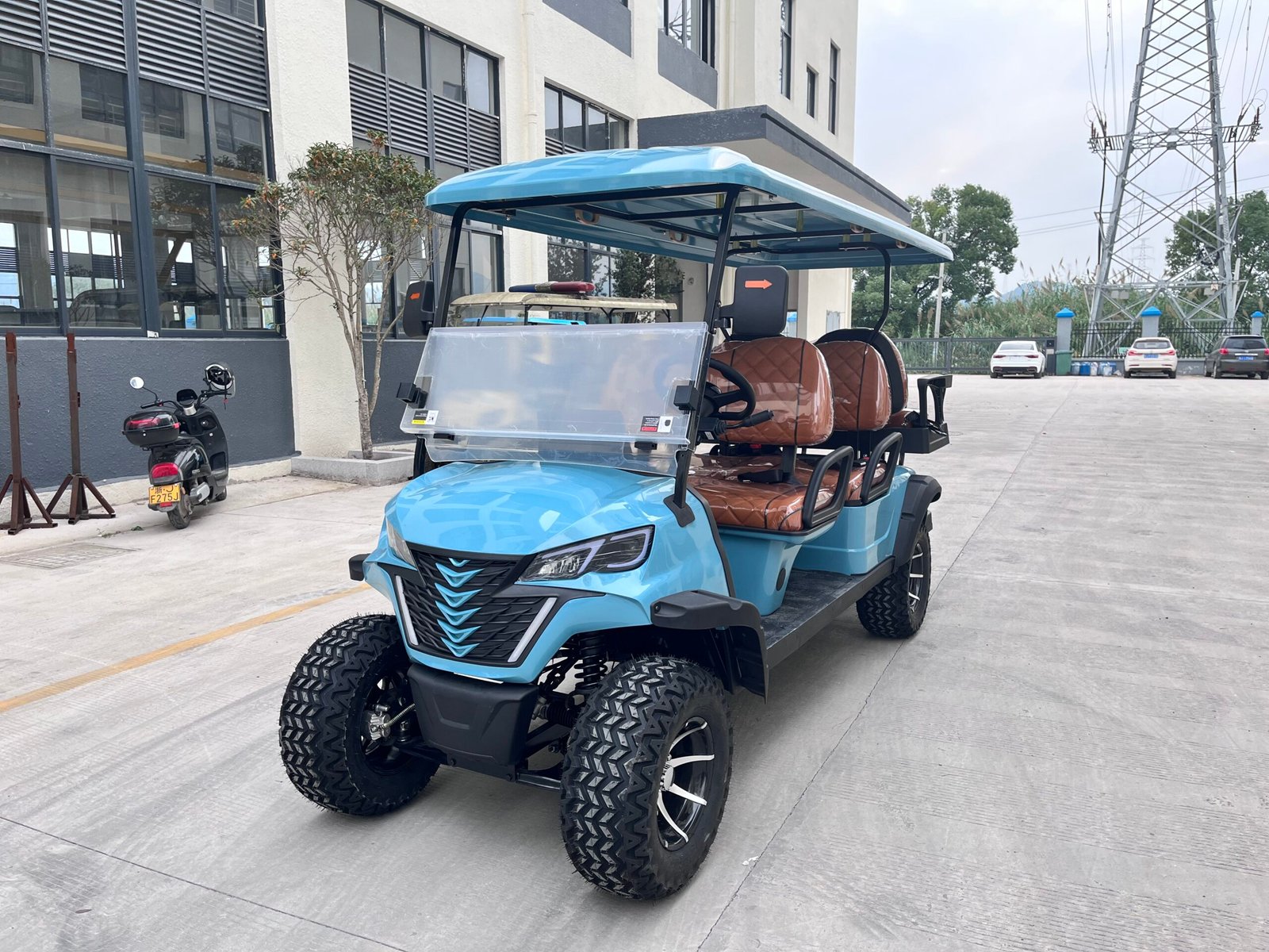 Shining Golf Carts: Your Path to Profitable Mobility Solutions